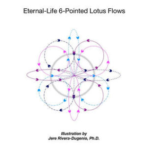 Lotus Of Life | Divine Tools