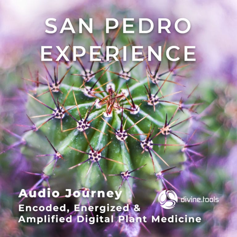 San Pedro Experience | Divine Tools